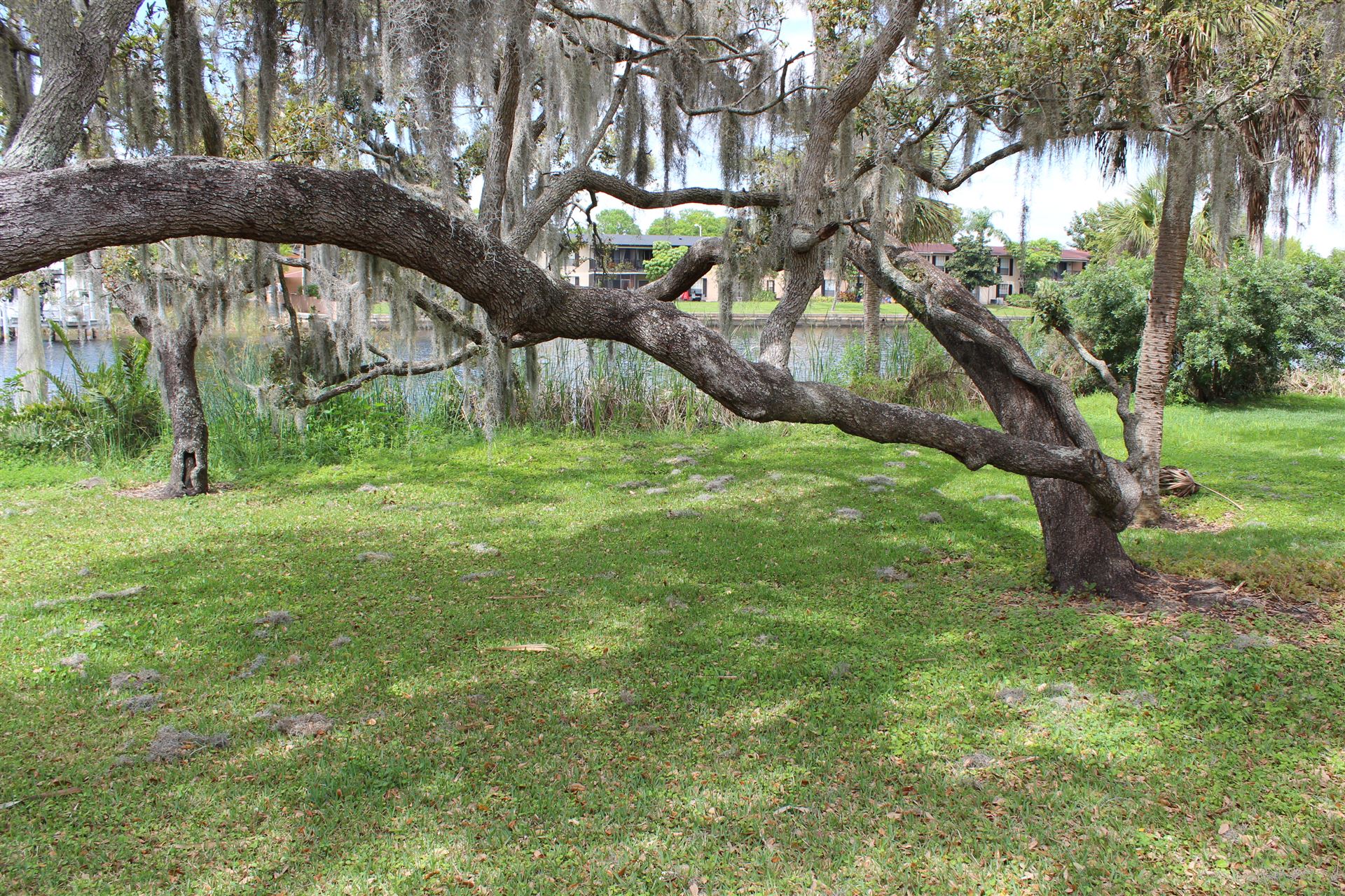 Locations Hub - Ignacio Haya Linear Park