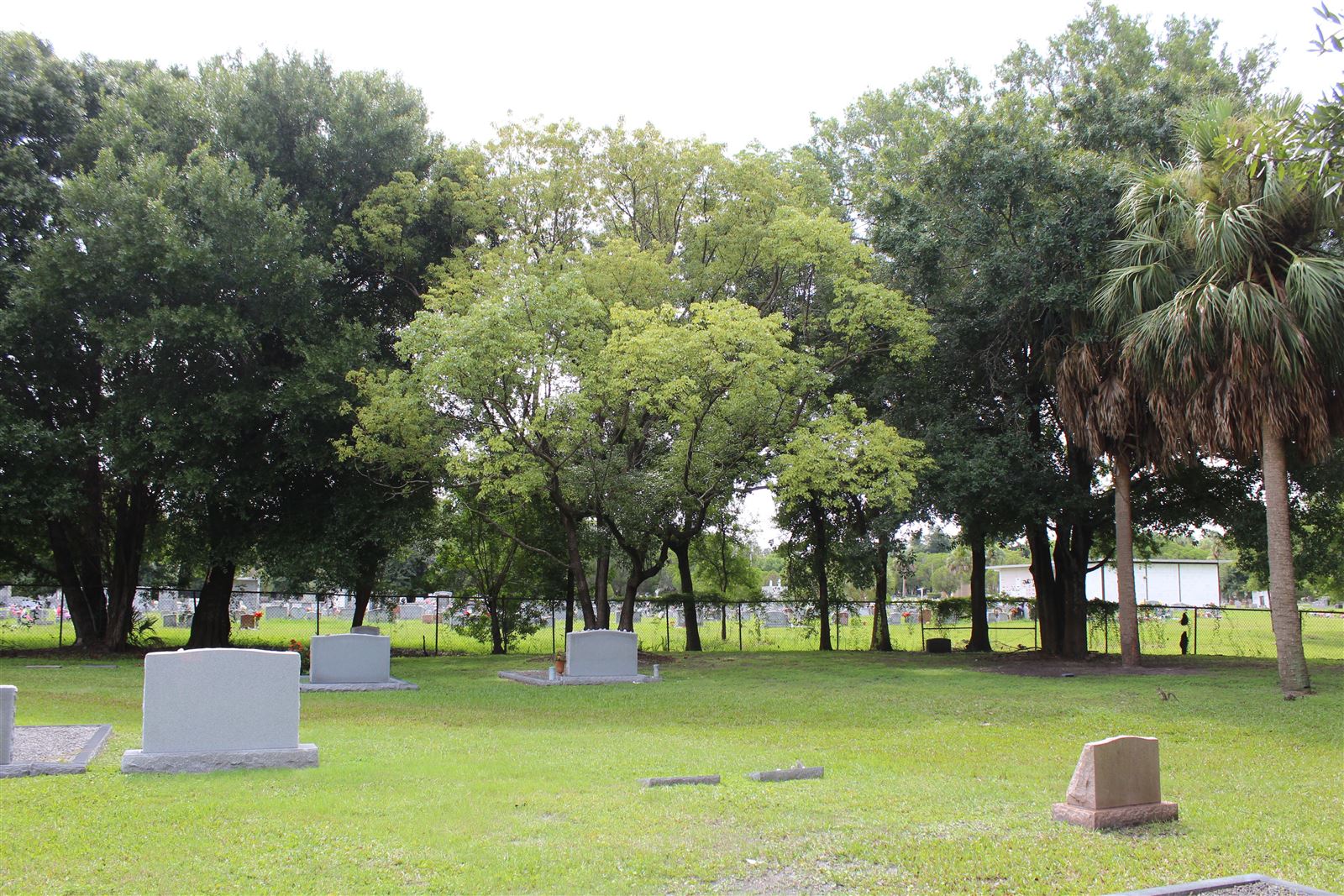 Locations Hub - Beth Israel Cemetery