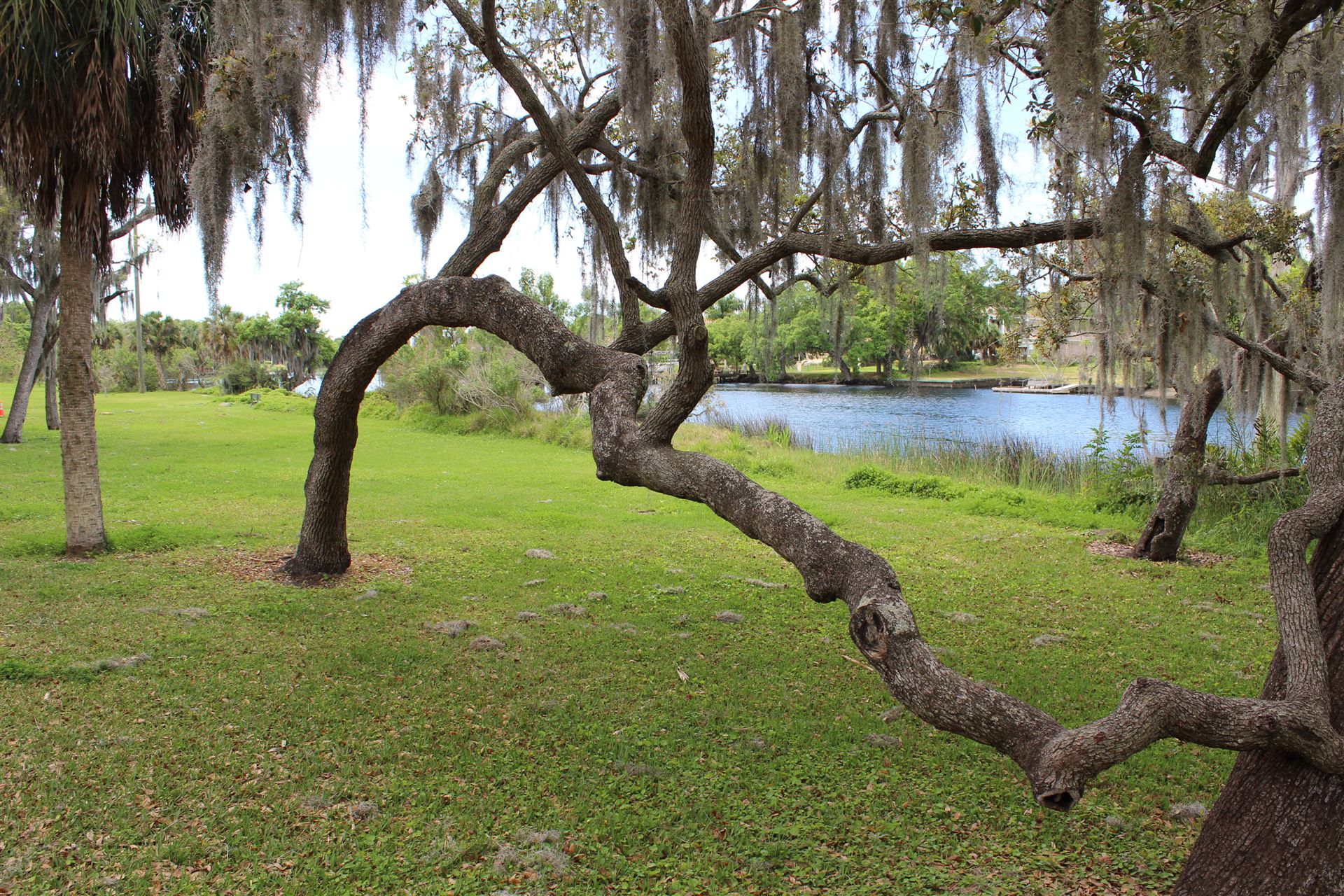 Locations Hub - Ignacio Haya Linear Park