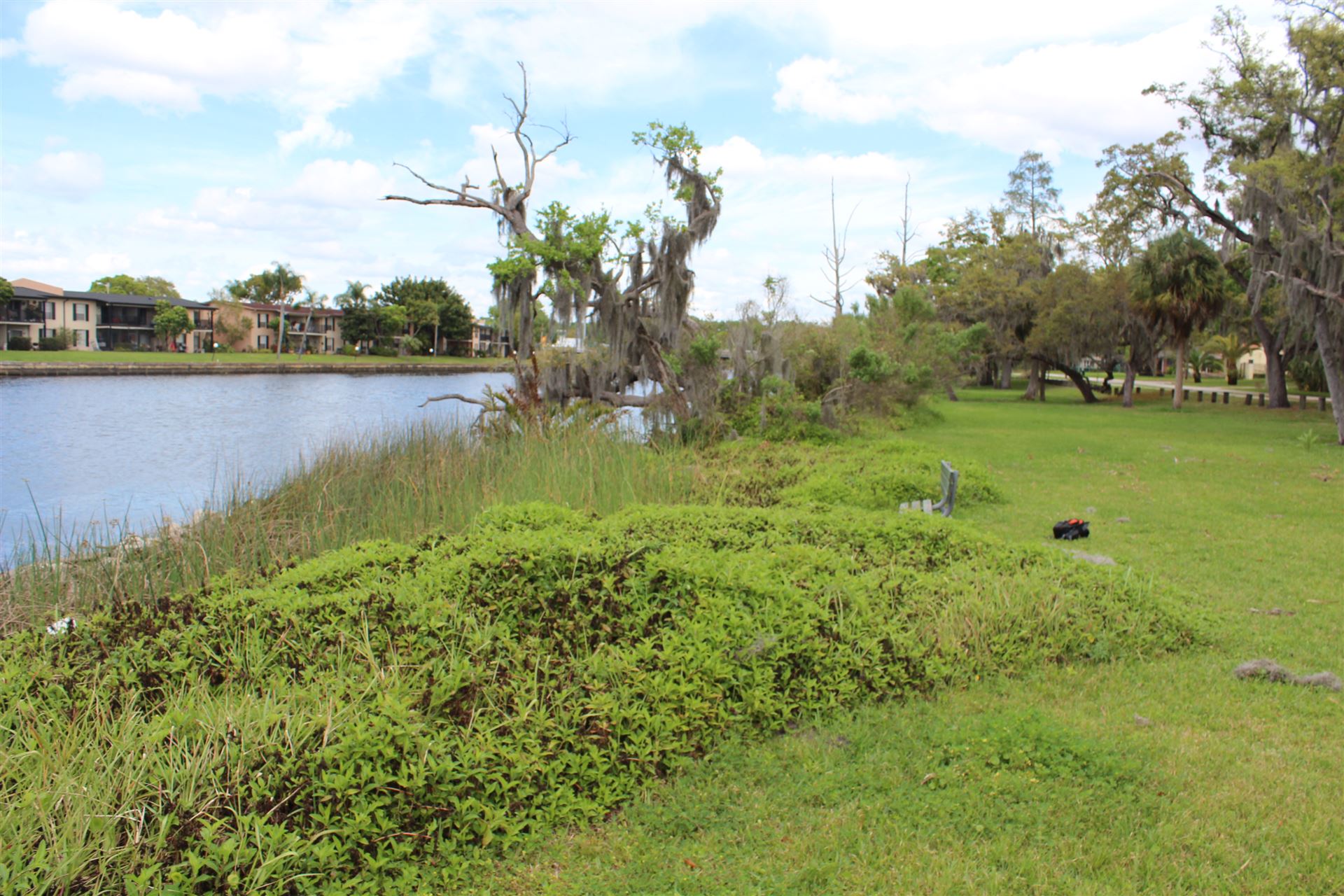 Locations Hub - Ignacio Haya Linear Park