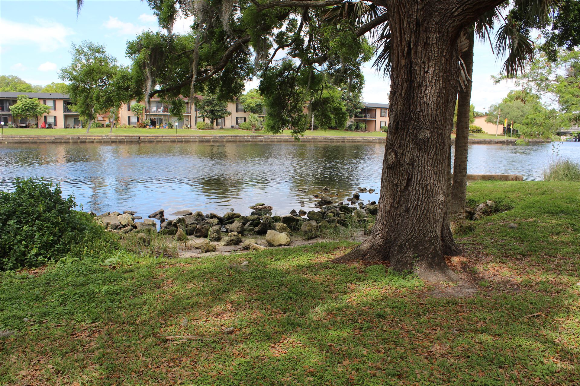 Locations Hub - Ignacio Haya Linear Park