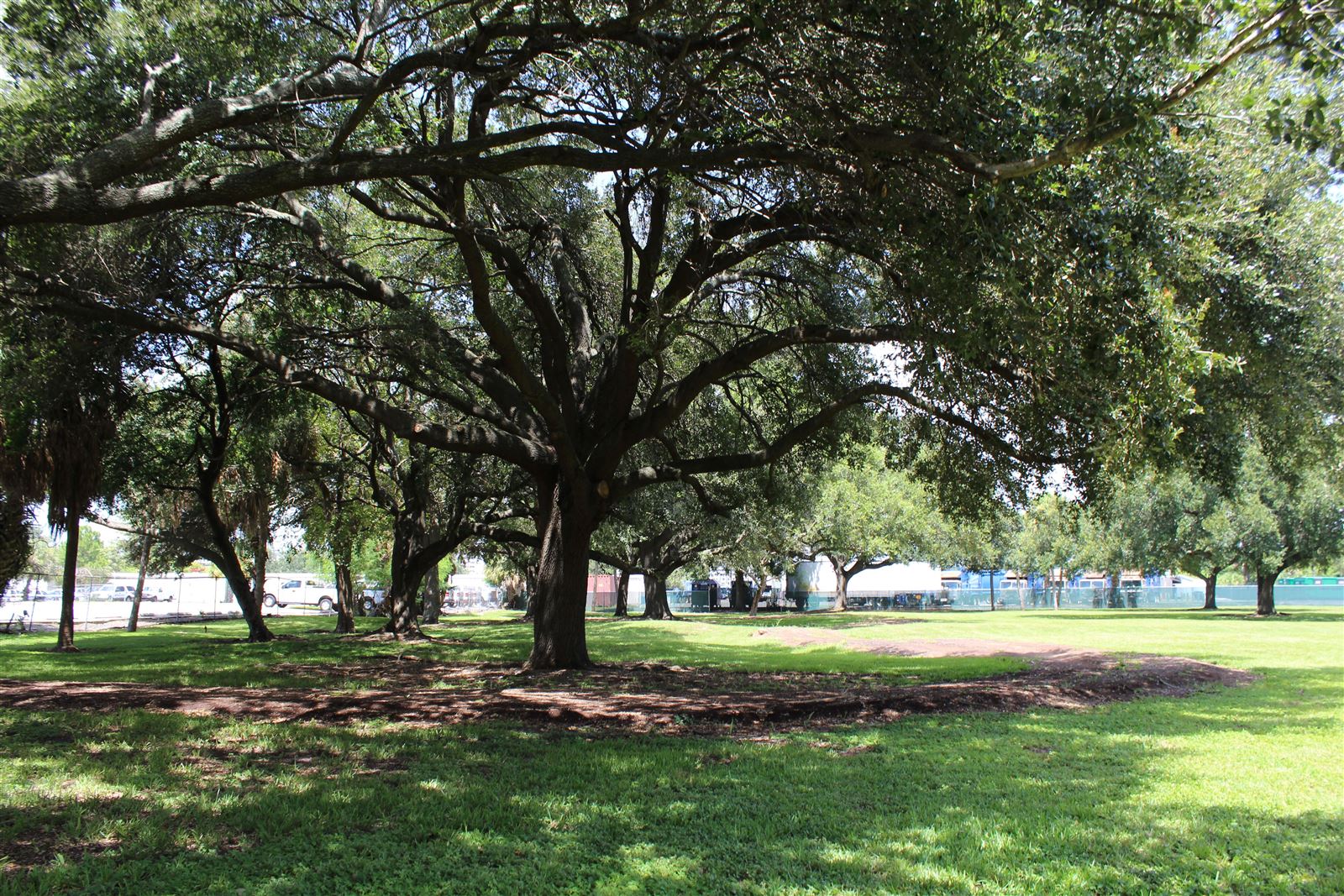 Locations Hub - Jim Walters Park