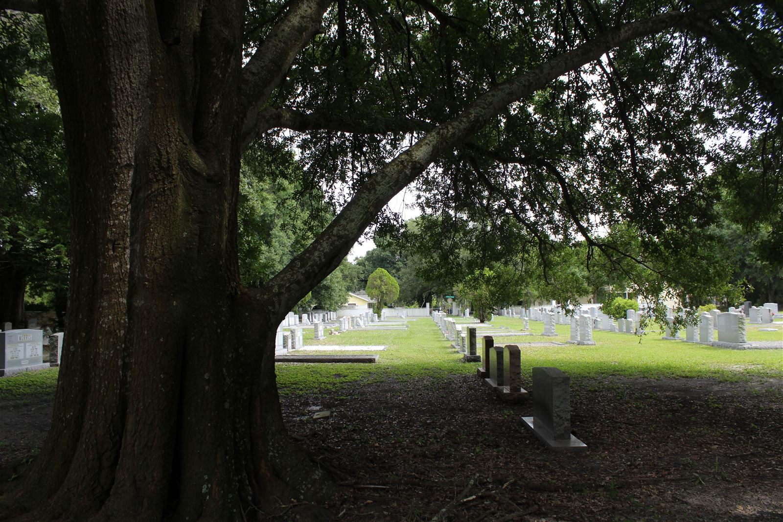 Locations Hub - Beth Israel Cemetery